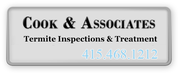 About Us | Cook and Associates